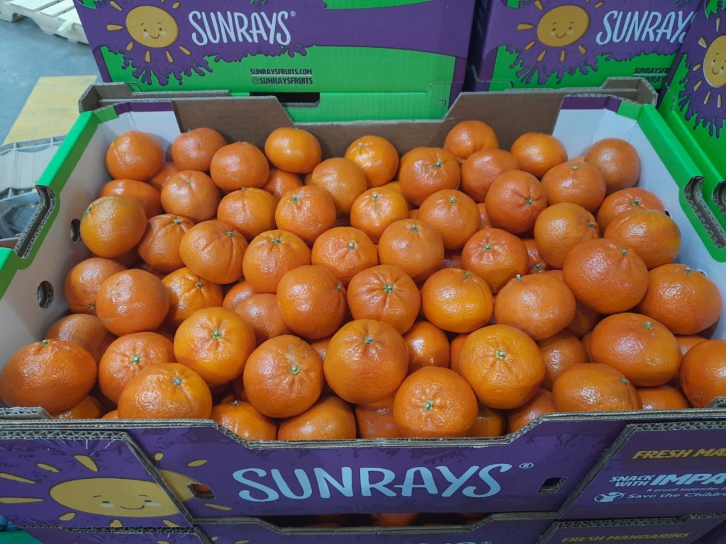 From The Field: Mandarins – February 2, 2021 – Sunrays