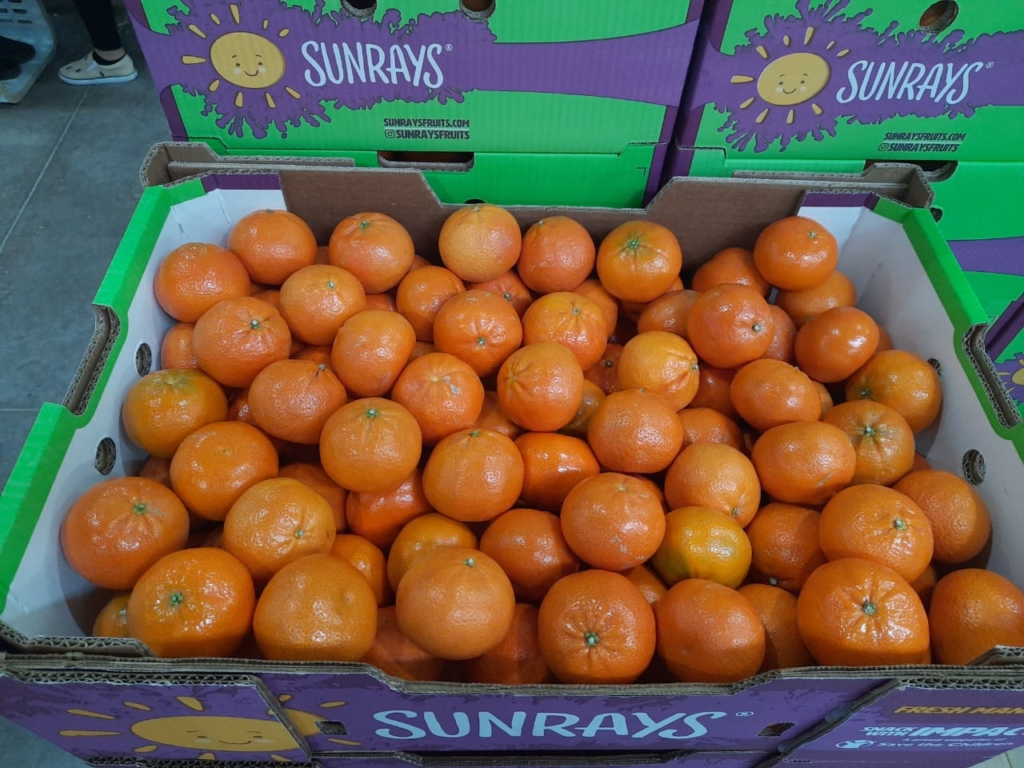 From The Field: Mandarins – February 16, 2021 – Sunrays