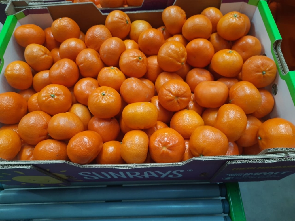 From The Field: Mandarins – March 2, 2021 – Sunrays