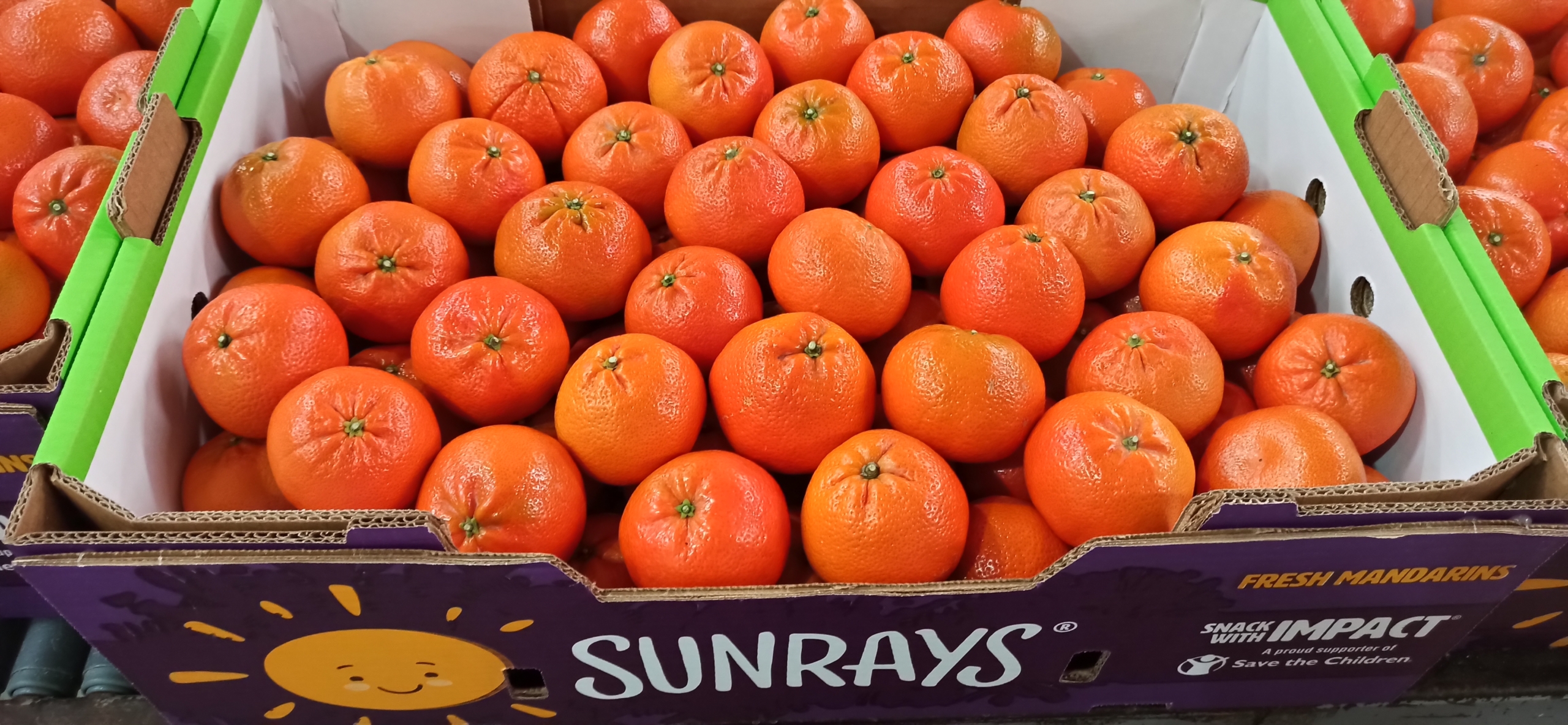 From The Field: Mandarins – February 22, 2022 – Sunrays